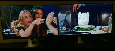 Computers Irl R Furry Irl