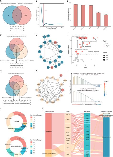 Frontiers Integrating Transcriptomics And Network Analysis Based