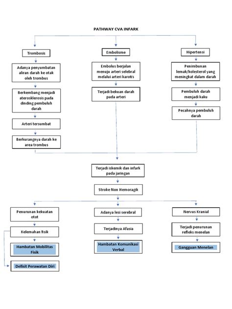 Pathway Cva Infark Pdf