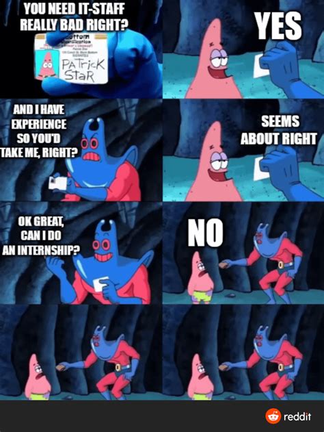 internshipstruggles r programmerhumor