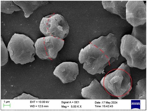 一种基于壳聚糖和酯化淀粉的janus粒子及其制备方法和应用 2