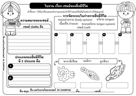 สื่อ สื่อ และใบงานวิทยาศาสตร์ By Cherfon