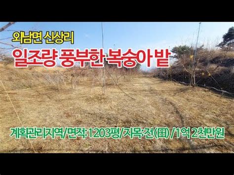 상주시 외남면 신상리 일조량 풍부한 복숭아 밭 상주부동산협회 상주시 문경부동산 상주부동산 태양광시설 태양광발전시설 태양광 복숭아 과수원 YouTube