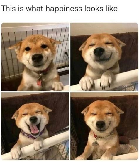 This One Made My Day R Wholesomememes