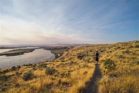 Hanford Reach National Monument Rare Grasslands On The Columbia River