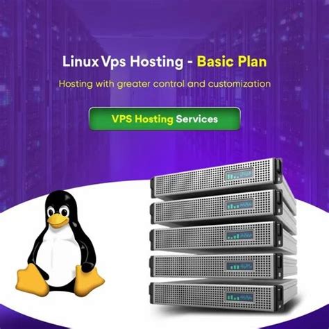 linux vps hosting basic plan at ₹ 1999 month in erode id 2852061600662