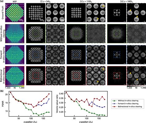 Figure 4 From Bidirectional In Silico Clearing Approach For Deep