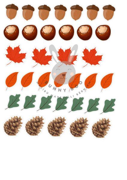 Rudens Aina Mācību Materiāli