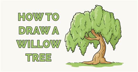 How To Draw A Willow Tree Step By Step Tutorial