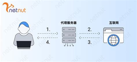 2023最好的代理服务器代理（二） 知乎