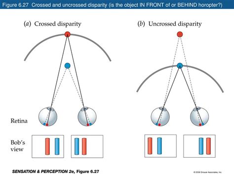 Uncrossed Binocular Disparity At Dean Metoyer Blog