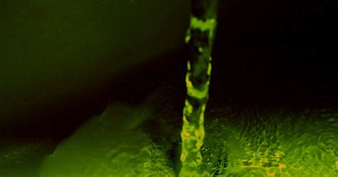 写真 触っちゃダメだよ ちゃんはややのイラスト Pixiv