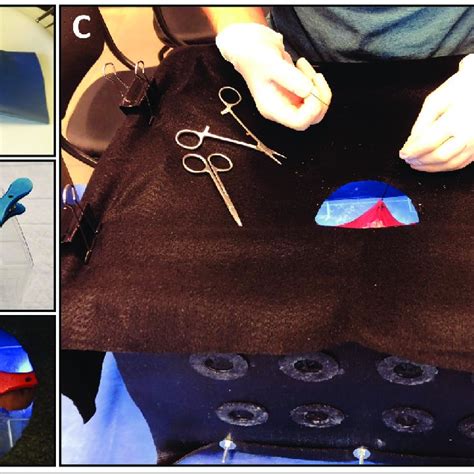 Experimental Set Up Of A Small Bowel Enterotomy Model Used For Suture Download Scientific