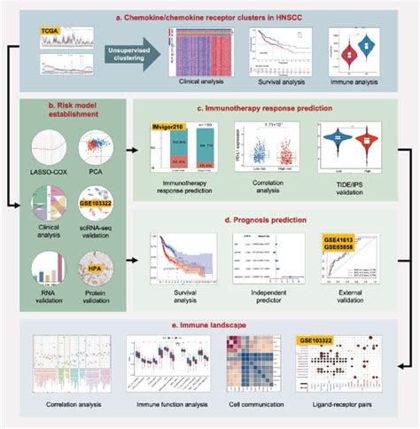 The Workflow Of Our Research Download Scientific Diagram