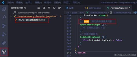 Vscode Todo Tree插件方便记录需要做但是暂时没办法立即做的事情todo Treefailed To Find Vscode Csdn博客