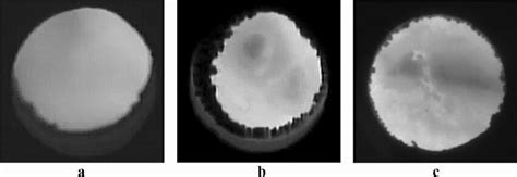 Photos Of The Cathode Surface Taken In Different Experiments Download