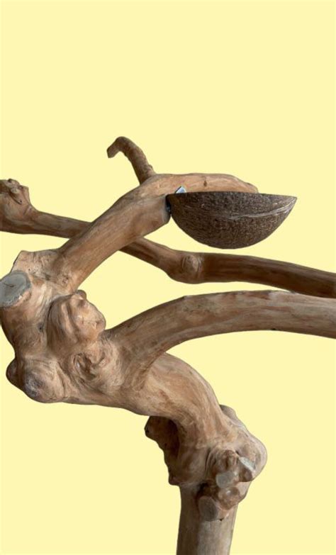 Customized Java Tree Kukutoys