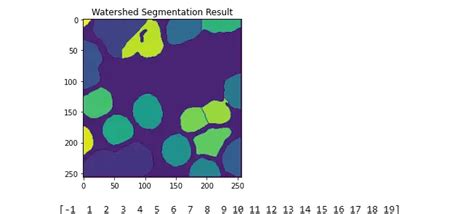 Ml Guide On Cell Segmentation Using Watershed Algorithm