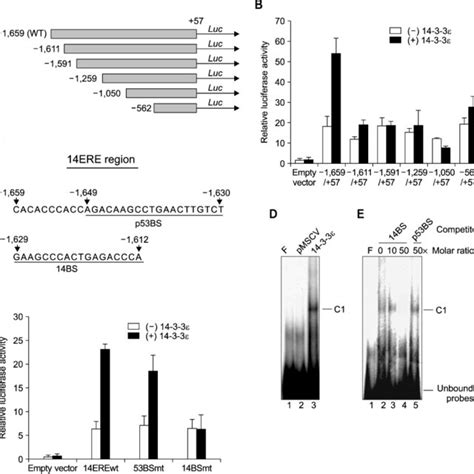 14 3 3ε Activates The Mmp 2 Promoter Via P38 Mapk Signaling A The