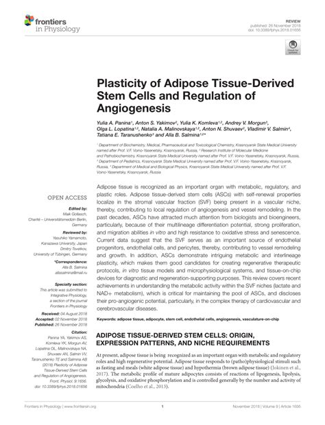 PDF Plasticity Of Adipose Tissue Derived Stem Cells And Regulation Of Angiogenesis