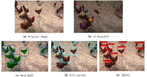 figure 6 from automated chicken counting in surveillance camera