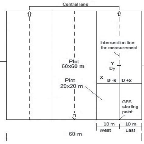 Permanent Sampling Plot Download Scientific Diagram