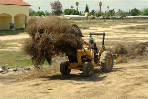 skip loader with tumbleweed bucket tumblegator