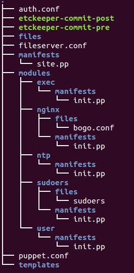 Puppet Packages Files And Services Ii Nginx