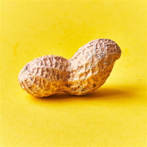 Premium Photo Single Peanut With Shell On A Yellow Background