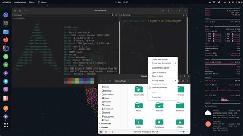 command interface for lsp r neovim