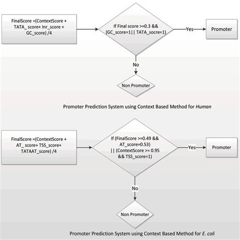 Data Flow Diagram Of Promoter Prediction System Using Context Based