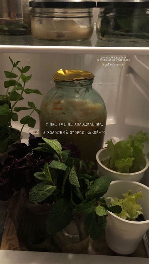 Less Waste Aesthetic Eco Friendly