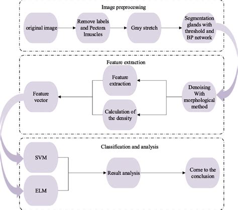 Framework Of The Breast Density Classification System Download Scientific Diagram