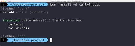 30x Faster Npm Dependency Installations With Bun Beyond Code