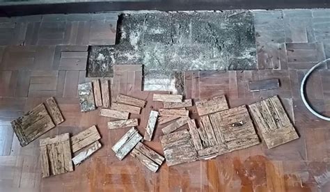 รวมรูปภาพของ โบวี่ อัฐมา ใช้เงิน 4 แสน ปลุกชีวิตทาวน์เฮาส์อายุ 30 ปี สวยแบบอึ้ง มินิมอลสุดๆ