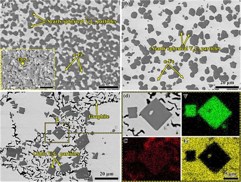 Microstructure And Element Distributions Of Different Microregions Of