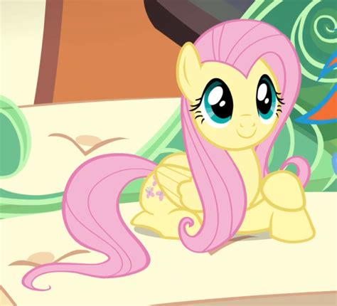 Pin On Fluttershy