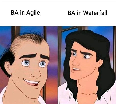 nazish chaudhry on linkedin business analyst agile waterfall