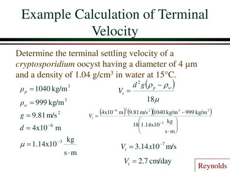 Understanding Terminal Velocity At Zachary Mustar Blog