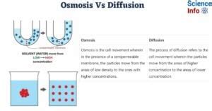 Difference Between Osmosis And Diffusion