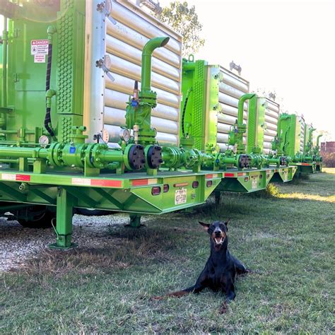 Employeespotlight Leothepawfessional Professional Meettheteam