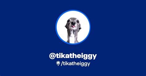 Tikatheiggy Instagram Facebook Tiktok Linktree