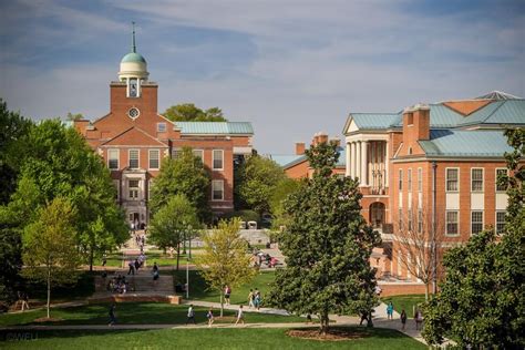 Test Optional Schools Galin Education