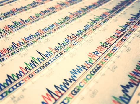 understanding bioinformatics as a beginner in data science