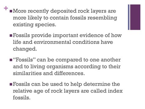 PPT FOSSILS PowerPoint Presentation Free Download ID 2133475