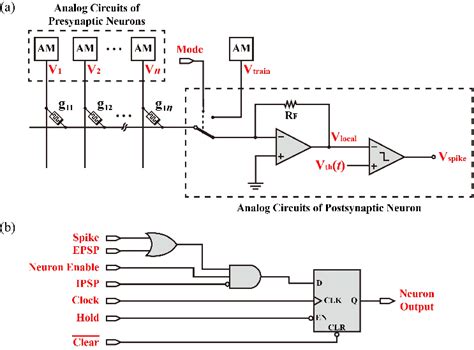 Neuron Circuits In The Proposed System A Analog Circuits Of