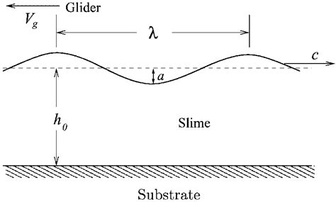 Schematic Diagram Of The Two Dimensional Undulating Surface Model