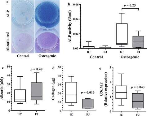 Osteogenic Properties Of Iliac Crest And Facet Joint Msc In Vitro