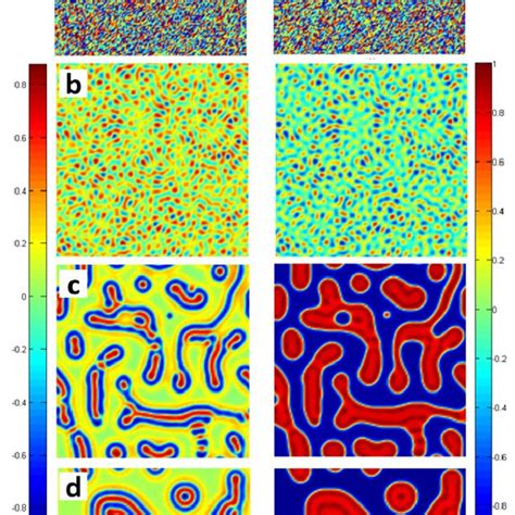 time evolution of the copolymer system simulation data 1024x1024 grid
