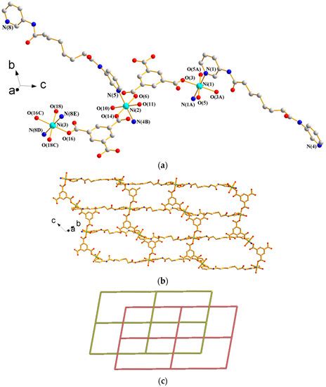 Metal And Ligand Effects On The Construction Of Divalent Coordination
